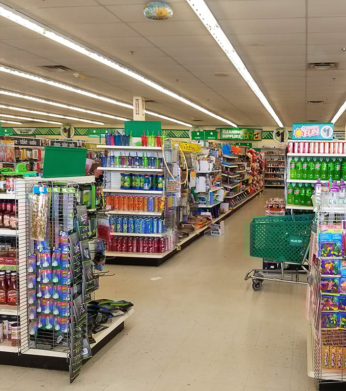 Aisles that stretch like the yellow brick road, except everything you find actually costs less than the ruby slippers' insurance.