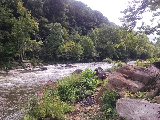 Nature's symphony plays year-round along Cherry River's rushing waters, where anglers find both trout and tranquility just steps from downtown.
