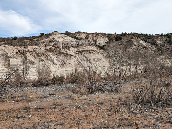Nature's own art gallery&mdash;these dramatic cliffs have been perfecting their pose for millions of years.