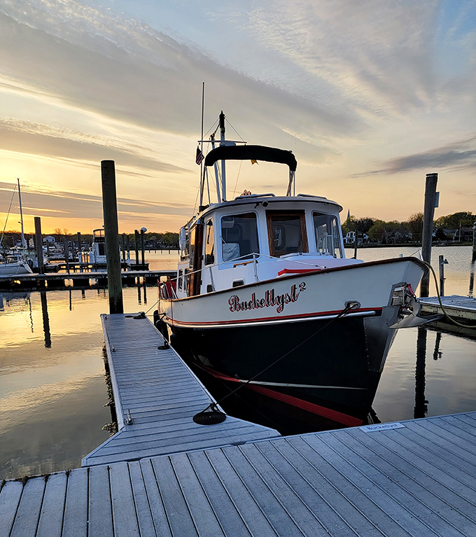 The "Buckelyst" rests at dock during golden hour &ndash; proof that boats with personality make better sunset companions than most Instagram influencers.