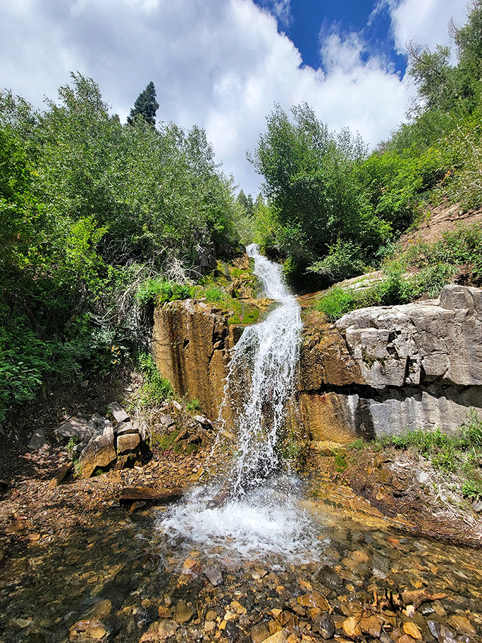 Salt Creek Canyon's hidden waterfall rewards hikers with nature's perfect soundtrack &ndash; rushing water drowning out civilization's buzz.