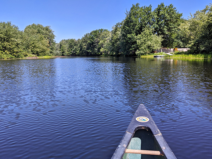 Gliding through the Lamprey River by canoe offers a perspective of Newmarket you can't get from Google Maps &ndash; serene waters and a soundtrack of nothing but nature.