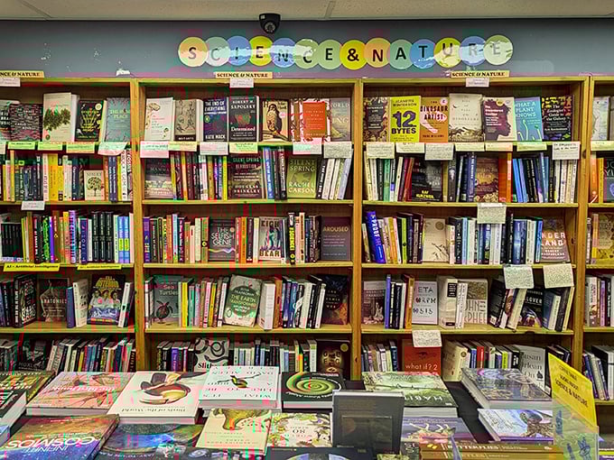 Science meets storytelling under colorful circular signage. Where else can you explore the cosmos and nature's mysteries without leaving carpeted comfort?