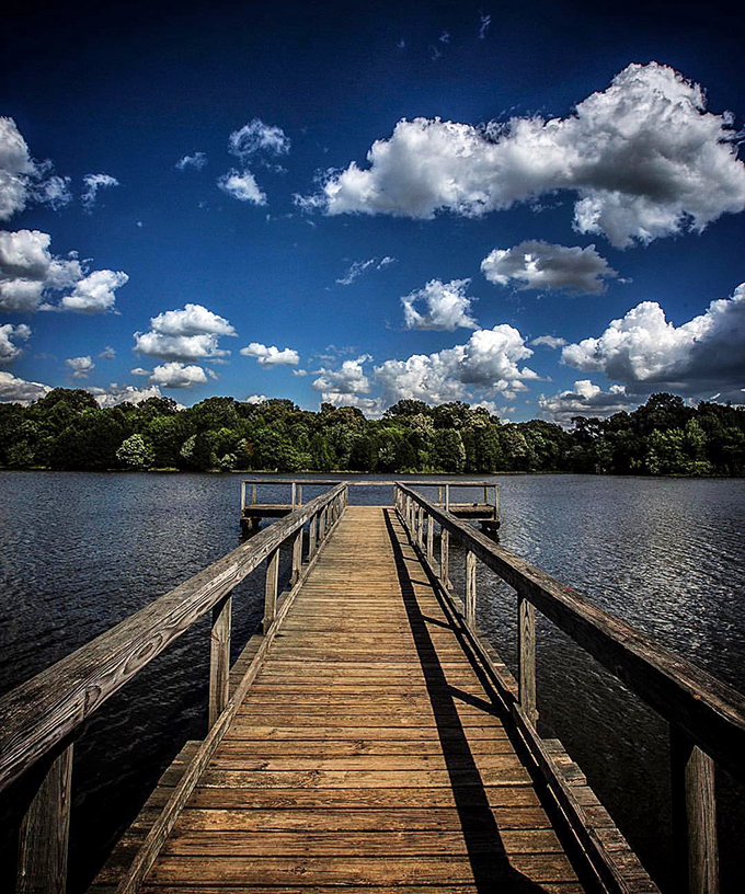 This wooden pier at Shelby Farms Park invites contemplation &ndash; or the perfect spot to practice your "I'm the king of the world" Titanic moment.