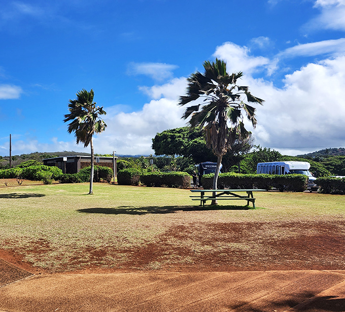 Two palm trees stand guard over this peaceful picnic spot, offering shade that's worth more than gold on a sunny Kauai afternoon.