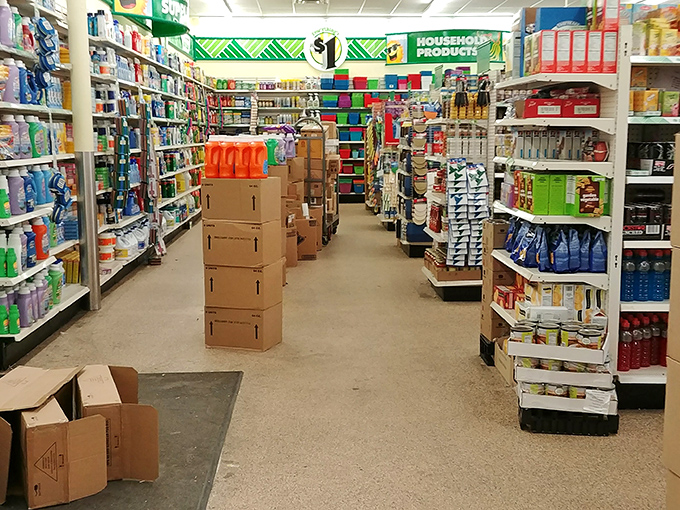 The household aisle &ndash; where cleaning products line up like soldiers in a battle against grime, all at prices that won't make you weep.