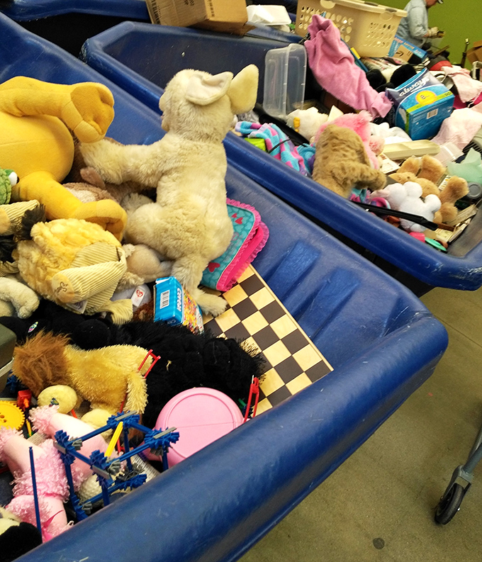 Stuffed animal adoption center or treasure trove of childhood nostalgia? Either way, these fuzzy friends are waiting for their forever homes.