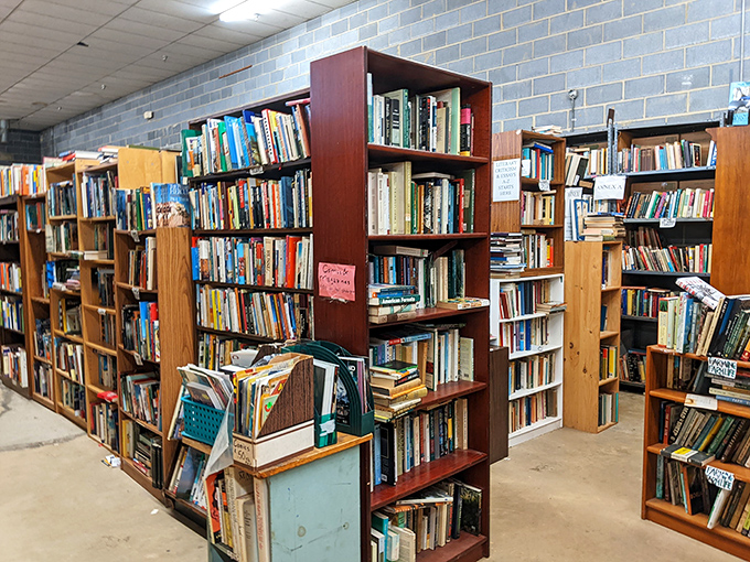 Every bookshelf tells a different story, and these mismatched cases hold decades of accumulated wisdom and wonder.
