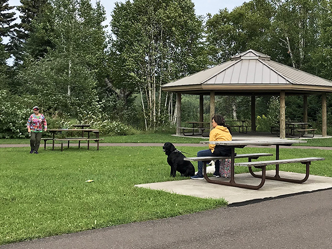 Picnic tables and pavilions await, because even wilderness explorers need a sandwich break.