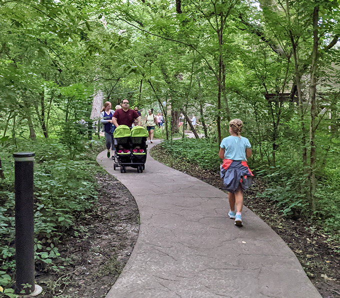 Family strolling through nature's cathedral. These shaded paths offer better therapy than anything you'll find scrolling through your phone.