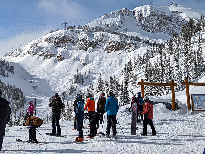 Winter transforms the mountains into a snow-covered paradise where skiers gather to chase powder dreams down pristine slopes.
