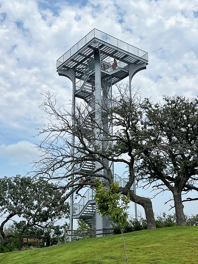 The Walter Scott Jr. Observation Tower stands tall like a metallic sentinel, daring visitors to climb for views that Instagram filters can't improve.