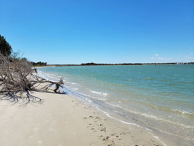 Nature's own retirement plan: pristine shorelines where your biggest decision is whether to hunt for shells or simply watch the gentle waves roll in.