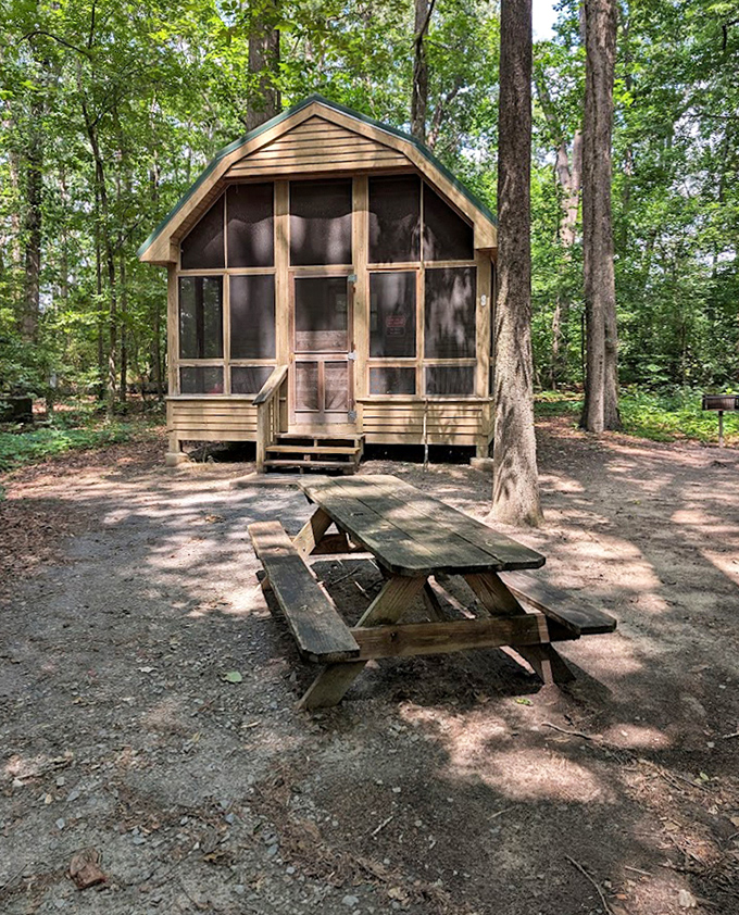 This screened cabin offers the perfect compromise: you're outdoors enough to feel adventurous, indoors enough to avoid mosquito warfare.