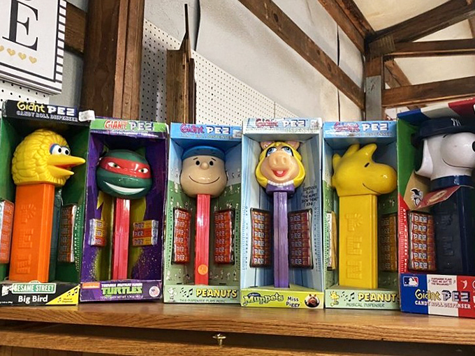 Childhood nostalgia in dispenser form! Big Bird and the gang waiting patiently to deliver PEZ to a new generation of candy enthusiasts.