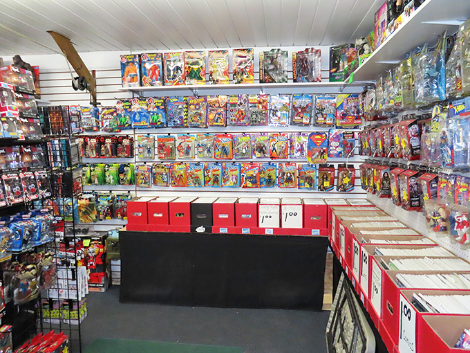 Action figure paradise! Where childhood heroes patiently wait in their plastic armor for collectors to rescue them from obscurity.