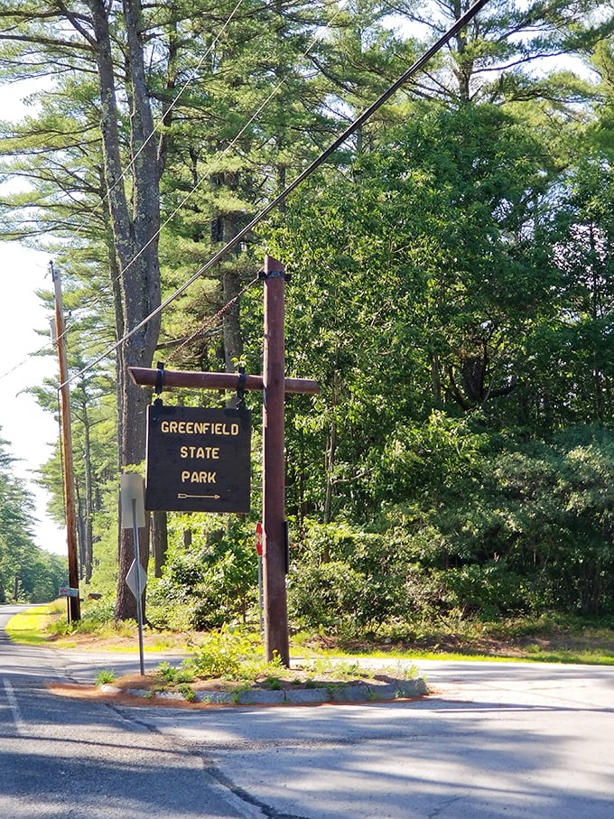 The entrance sign that promises adventure without demanding it. Like a good host, Greenfield State Park never tries too hard.