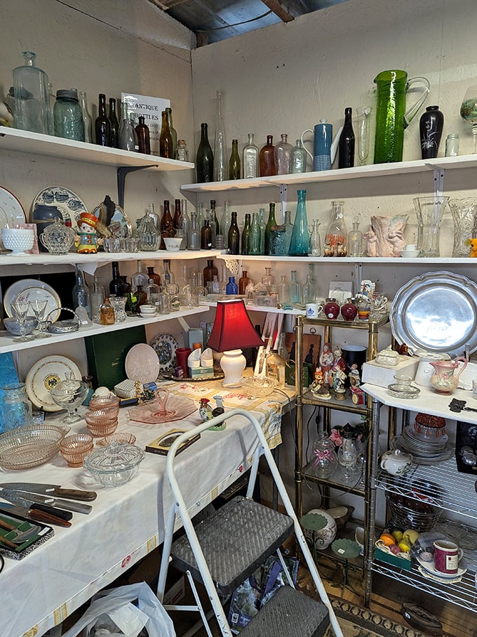 A bottle collector's dream corner where sunlight plays through vintage glass. Each vessel whispers stories of sodas sipped and medicines measured in another era.