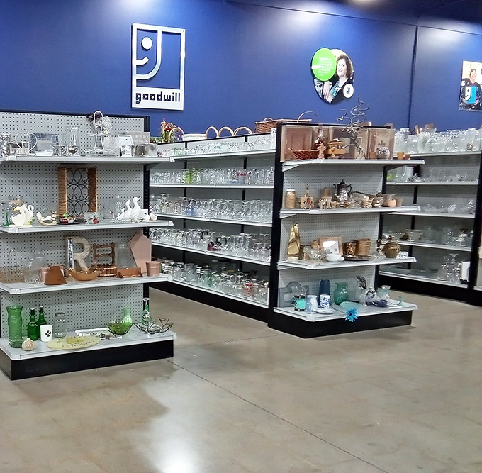 Crystal, ceramic, and kitsch collide in the glassware section. One person's donation becomes another's dining table centerpiece.