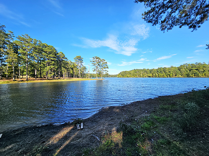 Blue skies, blue water, and not a deadline in sight. This shoreline view is Mississippi's answer to meditation apps.