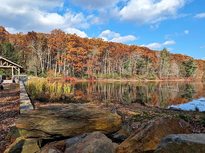 Fall foliage reflected in still waters creates nature's perfect mirror. Even your iPhone's portrait mode can't compete with this kind of natural perfection.
