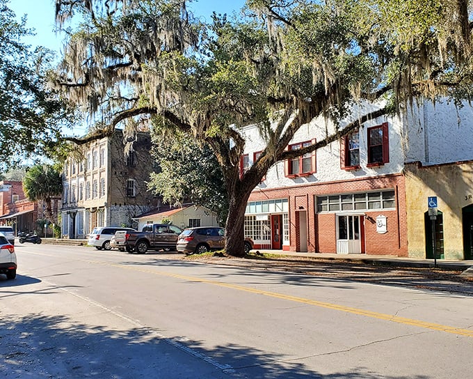 Spanish moss drapes over Cholokka Boulevard like nature's own party decorations, creating dappled shadows that dance across historic facades.
