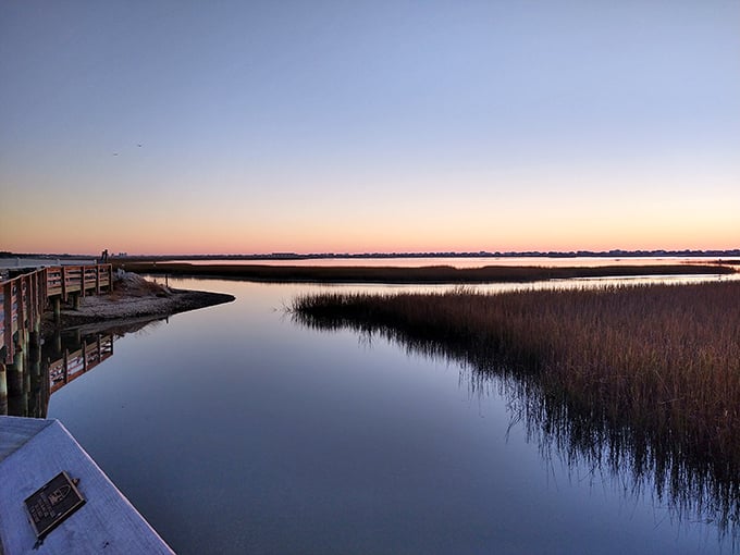 Dawn breaks over the marsh in shades of peach and lavender, proving nature's the best artist.