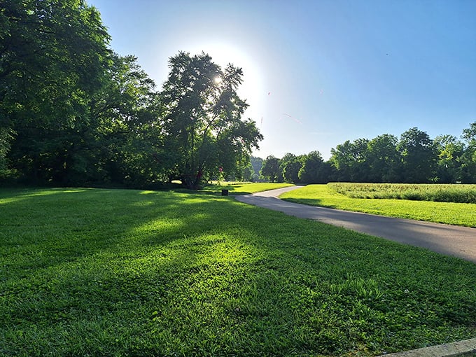 Morning sunlight filters through the trees, creating nature's spotlight on this serene pathway. It's the kind of scene that makes even dedicated couch potatoes consider hiking.