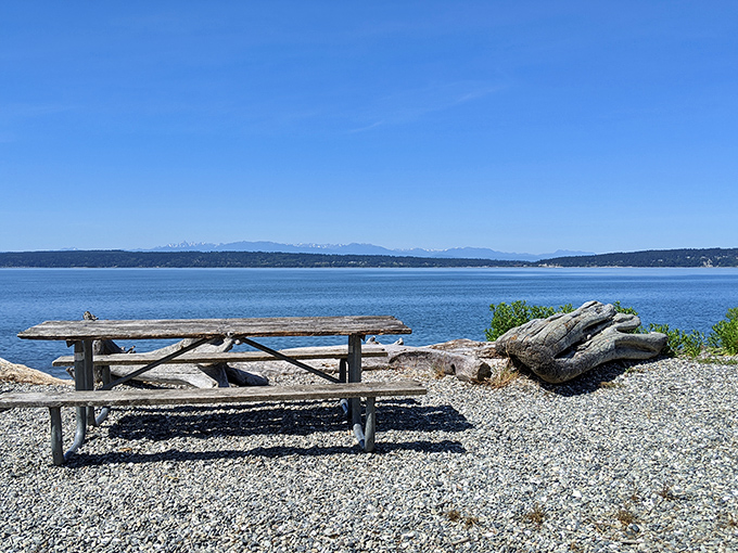 The lunch view that ruins all future picnics. "Sorry backyard barbecue, but you're just not Puget Sound panorama material."