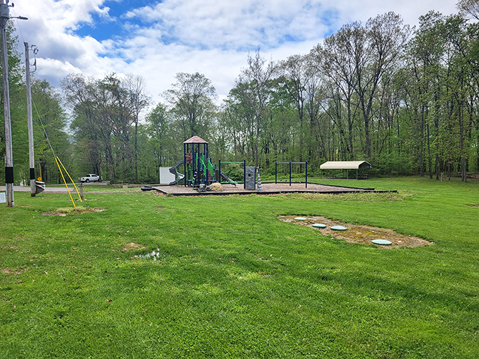 Even playground equipment looks more inviting when surrounded by Ohio's emerald cathedral. Childhood memories in the making, no screen time required.