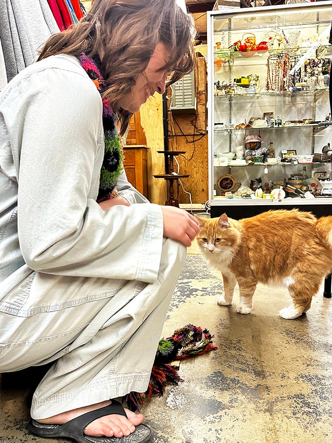 The shop cat: part quality control inspector, part welcoming committee, all attitude. Every great flea market needs a feline supervisor.