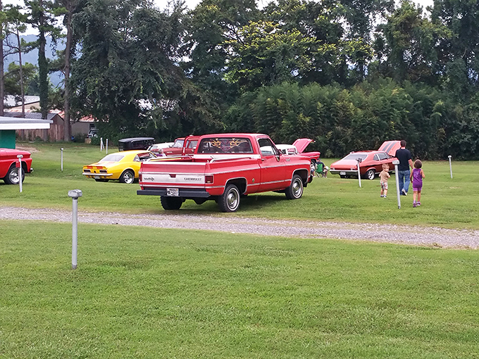 Classic cars line up for a special event, their polished chrome reflecting a bygone era when drive-ins were America's premier date night destination.