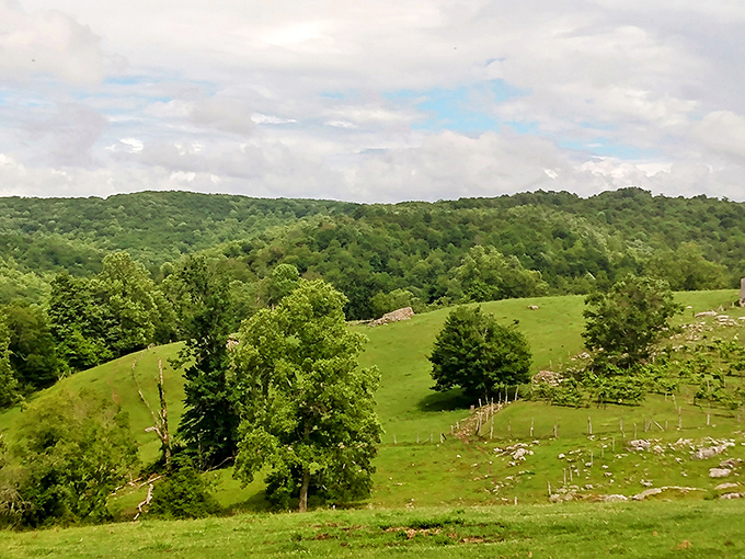 Rolling hills unfold like a green quilt across Webster County, showcasing the pastoral beauty that surrounds Holly River's forested haven.