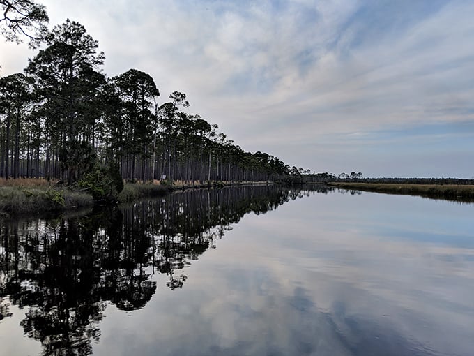 Mirror, mirror on the water. The glassy surface of the Ochlockonee River creates perfect reflections that double the beauty of this serene landscape.