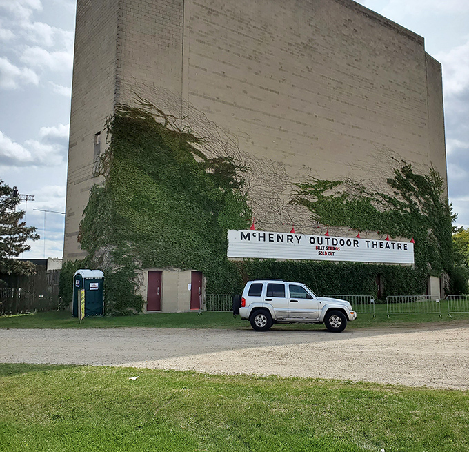 The back of the massive screen tells stories of its own, with ivy climbing the concrete like nature's own credits sequence.