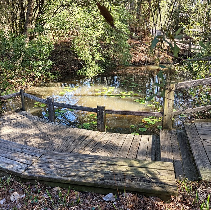 Where wood meets water in perfect harmony. This viewing deck offers front-row seats to nature's daily performance &ndash; no tickets required.