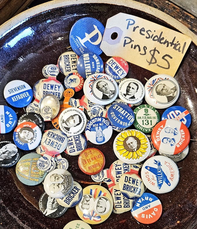 Political history you can hold in your hand! These campaign pins tell stories of elections long decided, hopes raised, and promises made.
