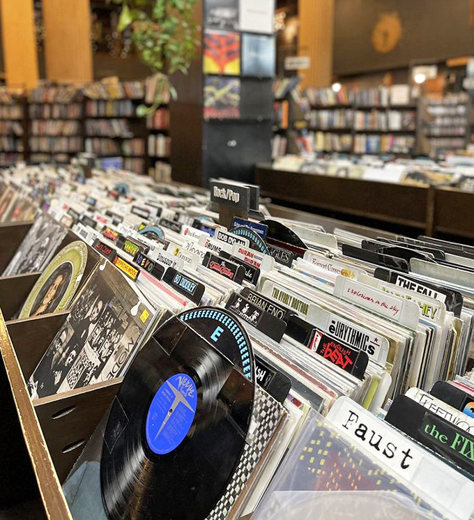 Vinyl hunters, rejoice! From Faust to The Clash, these record bins hold analog treasures that Spotify can't replicate.