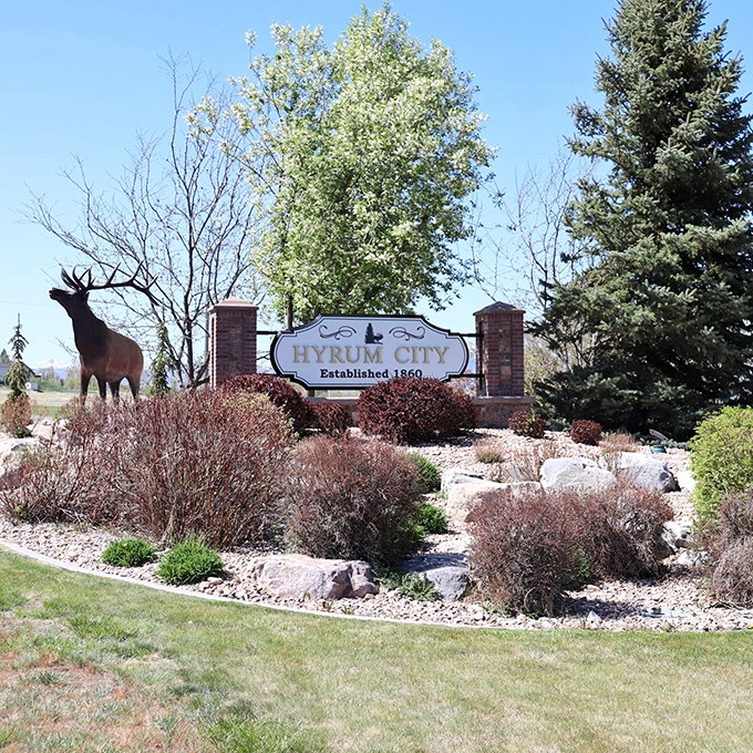 The town entrance sign features an elk silhouette&mdash;nature's way of saying "wildlife may delay your commute, and you'll be perfectly fine with that."