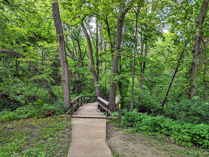 This wooden bridge isn't just crossing a stream&mdash;it's crossing into a world where deadlines and emails cease to exist. Mental health therapy at its finest.