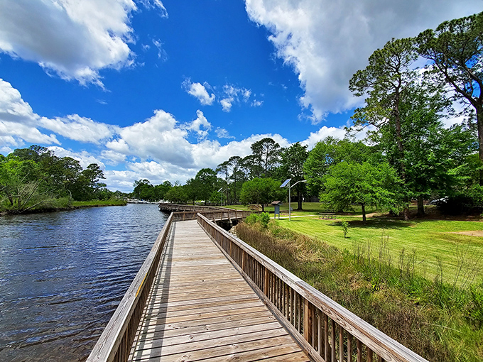 Nature's boardroom meeting is always in session here, where wooden pathways invite contemplation and the occasional "did you see that fish?" moment.