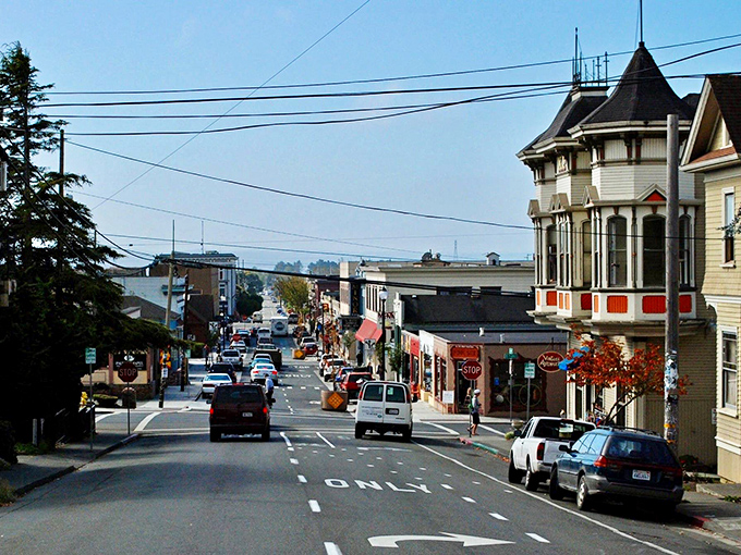 Arcata's bay stretches endlessly toward distant mountains, painting a landscape that changes with every passing cloud.