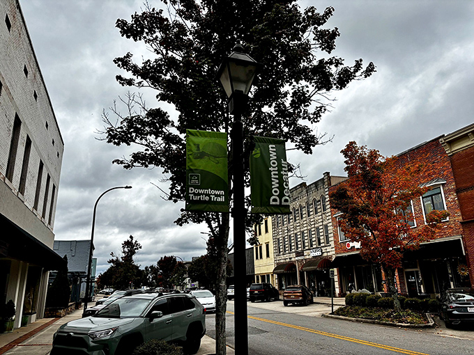 Decatur's Downtown Turtle Trail banners flutter above streets where historic architecture meets small-town charm—and surprisingly reasonable mortgage payments.
