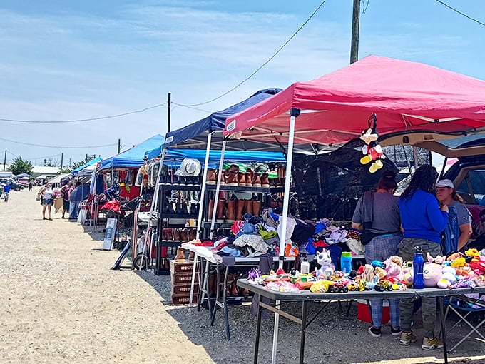 Bargain city under blue skies! Grand Prairie's Trade Fair transforms ordinary parking lots into extraordinary shopping adventures every weekend.