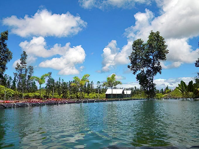 Tranquil blue waters mirror fluffy clouds above Kurtistown's lush landscape, where a small structure peeks through tropical greenery.