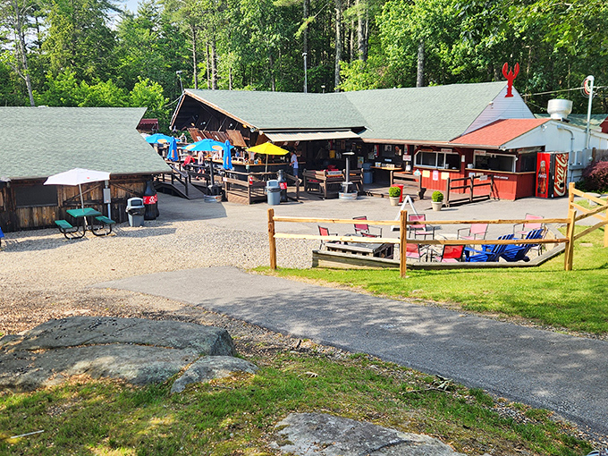 Rustic charm meets seafood perfection. This backyard-style feast spot makes "rough" look absolutely delightful!