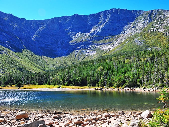 Mount Katahdin's majestic slopes cradle a pristine alpine lake, offering Millinocket residents nature's grandeur as their backyard playground.