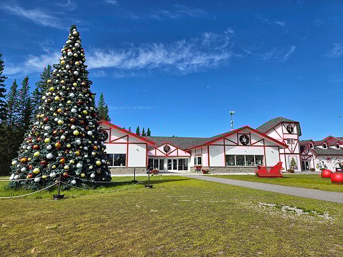 North Pole keeps Christmas alive year-round with festive charm that would make even Scrooge consider moving to this affordable wonderland.