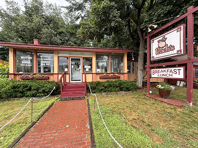Peach's Restaurant doesn't need fancy frills to draw you in. This cozy breakfast sanctuary knows good food speaks louder than architectural showboating.