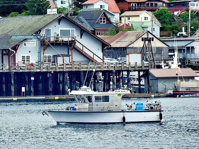 Sitka's harbor bustles with the kind of authentic maritime life that makes every day feel like an adventure.